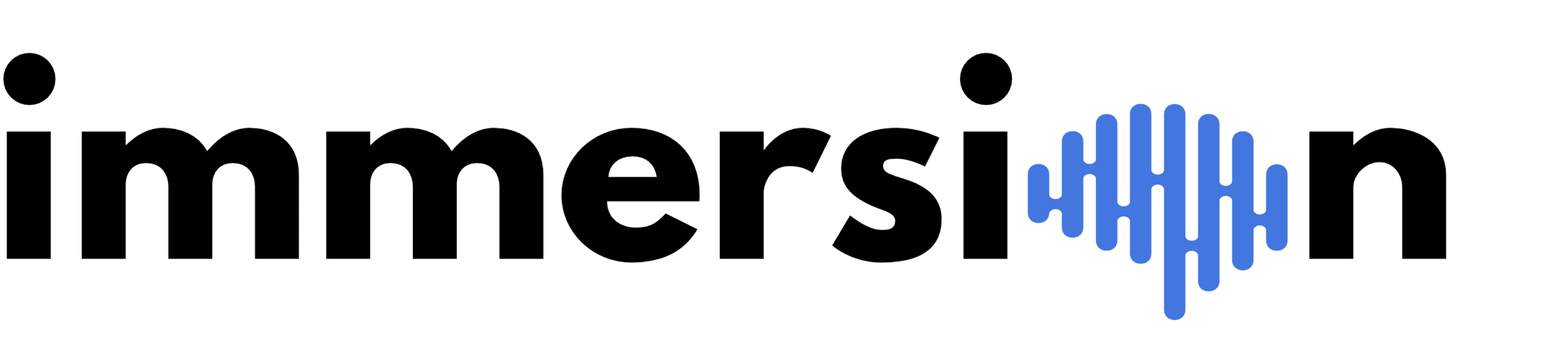 The Immersion team